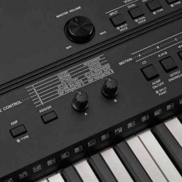 Yamaha PSR-A300 | کیبورد آموزشی یاماها سازکالا